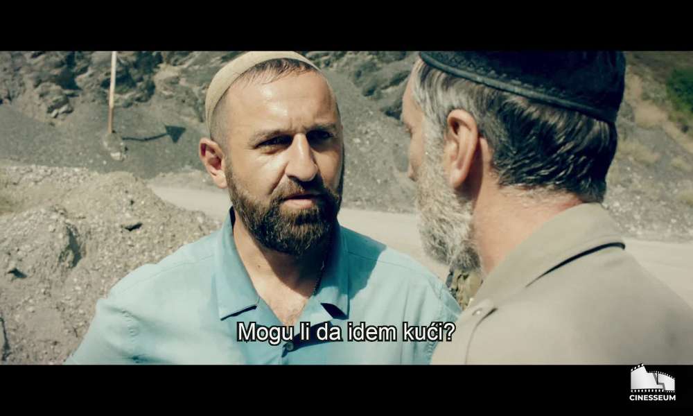 Decision: Liquidation - Cinesseum