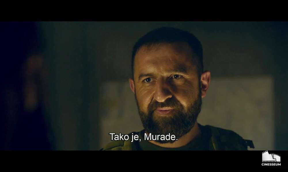 Decision: Liquidation - Cinesseum