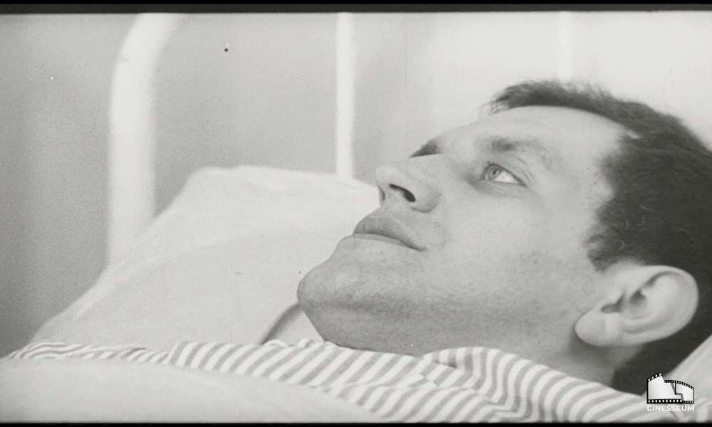 Kapi, vode, ratnici - Cinesseum