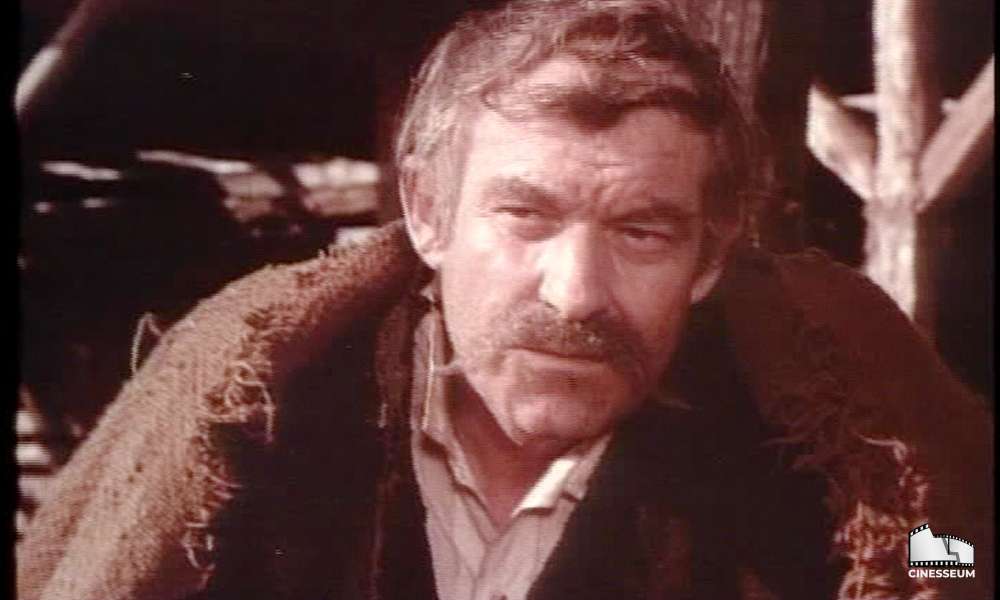 Shepherd - Cinesseum