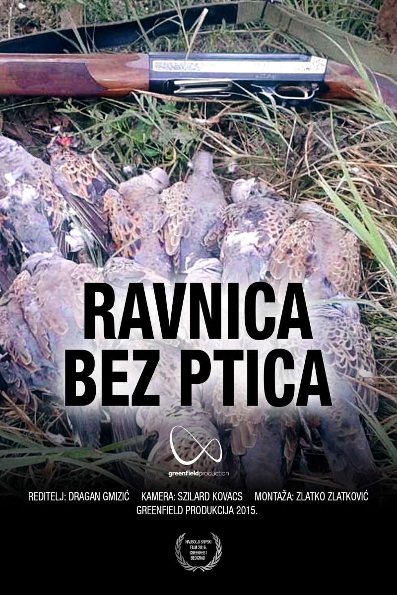 A plain without birds - Cinesseum