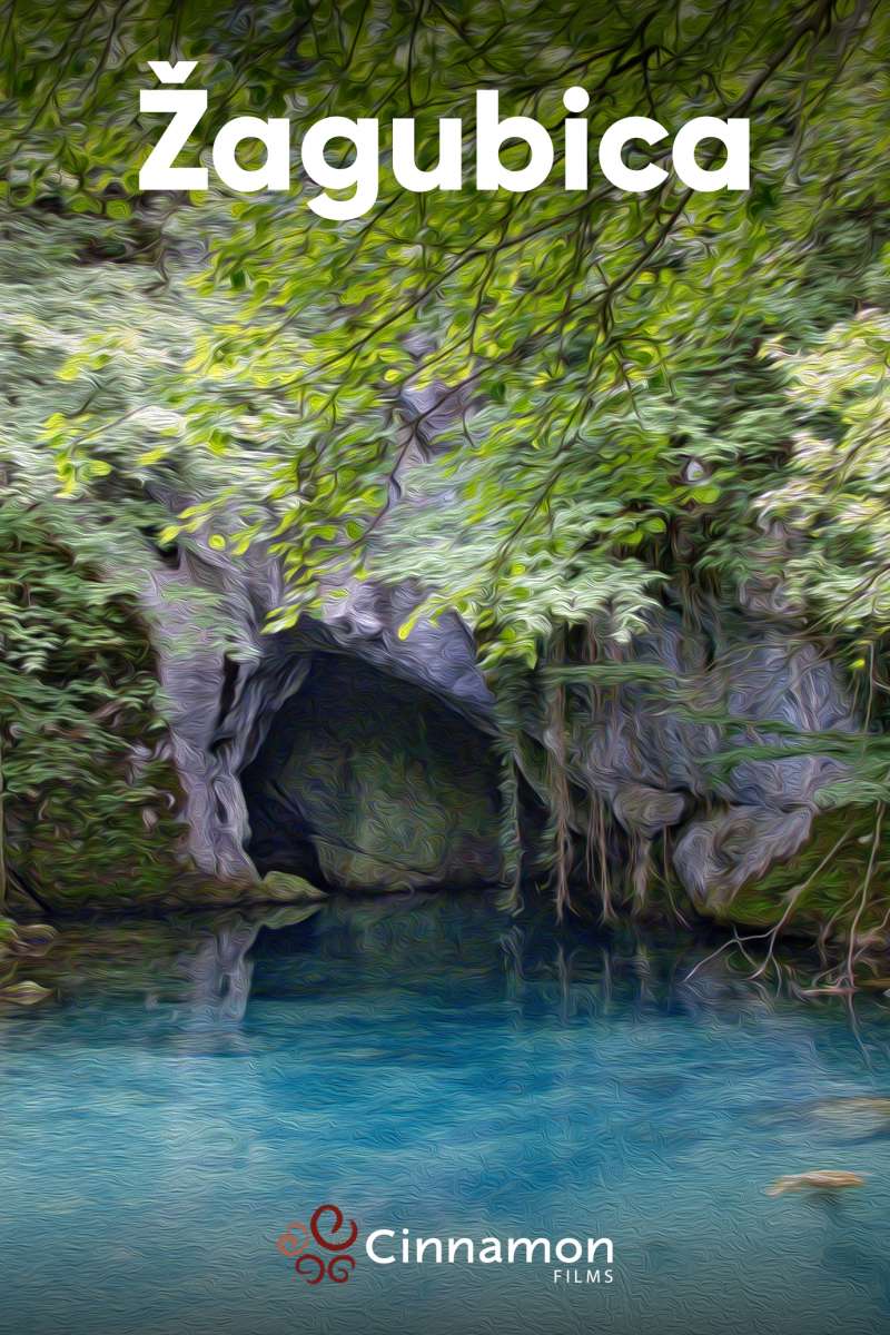 Žagubica - Cinesseum
