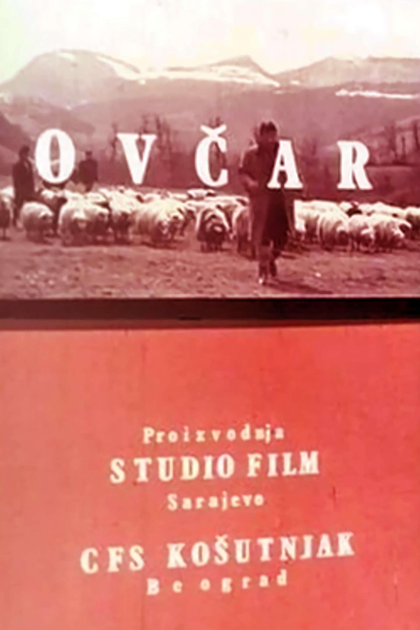 Ovčar - Cinesseum