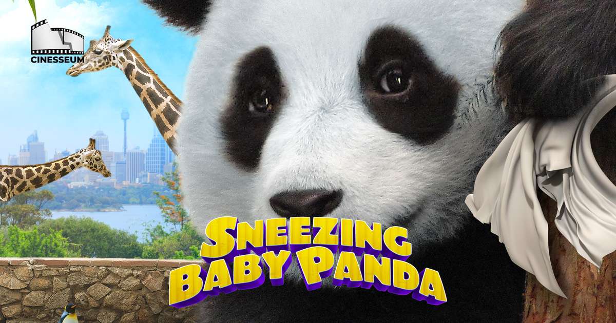 Nazdravlje, beba pando - Cinesseum